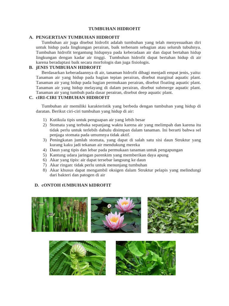 Tumbuhan Hidrofit, Xerofit | PDF