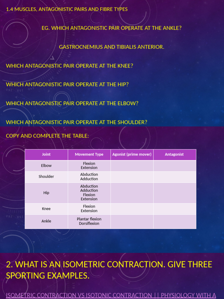 Muscles and Fiber Types Explained | PDF | Anatomical Terms Of Motion ...