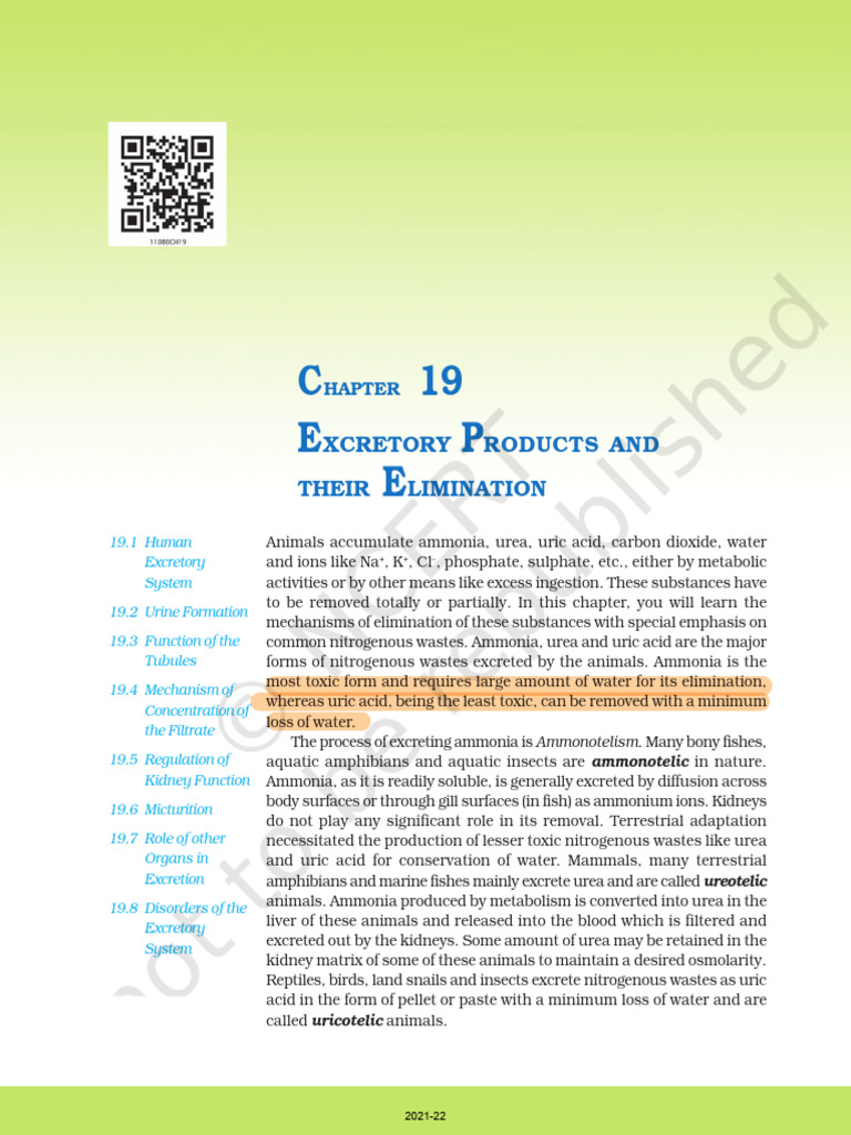 Animal Excretion Mechanisms | PDF | Kidney | Urinary System
