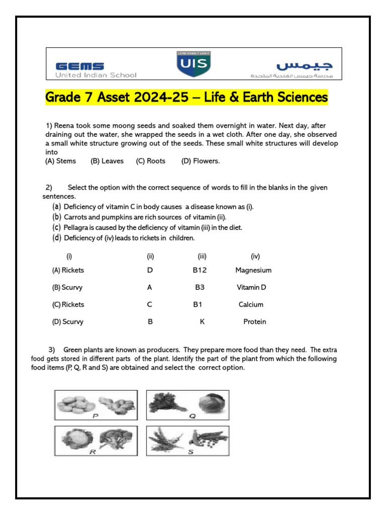 Grade 7 Life & Earth Sciences Quiz 2024 | PDF | Foods | Stars