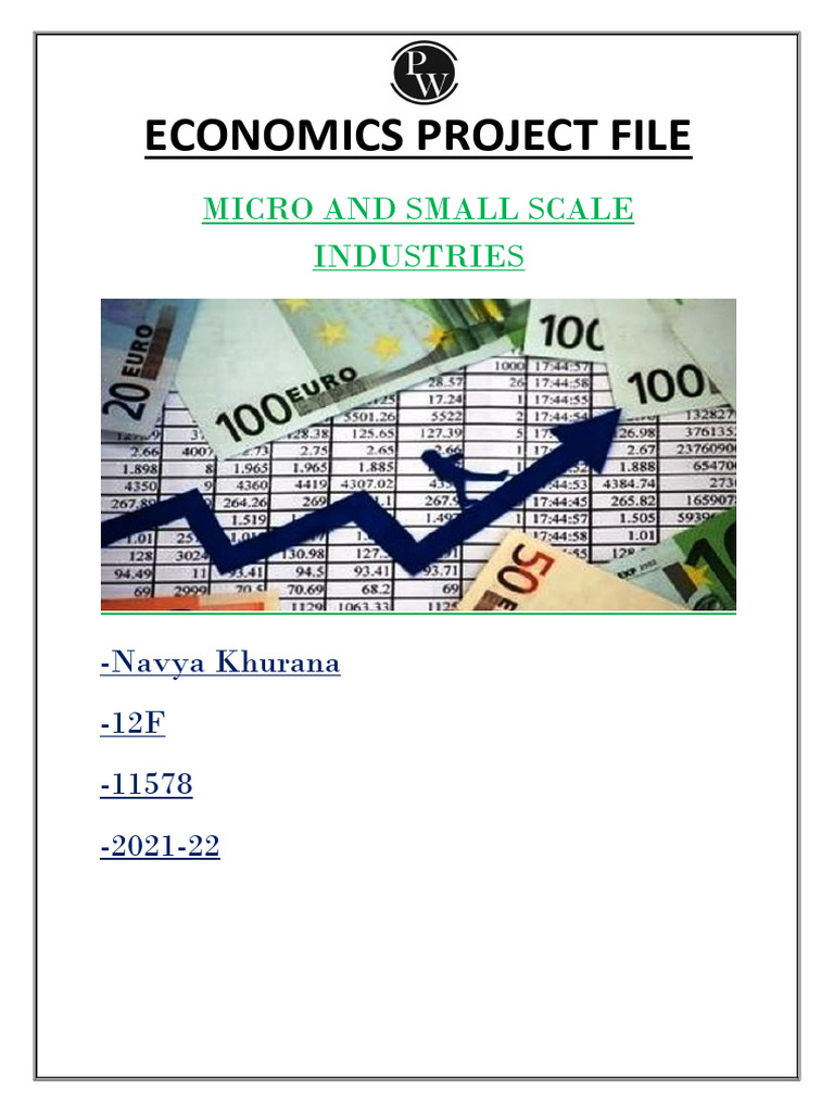 Economics Project File: Micro and Small Scale Industries | PDF | Small ...
