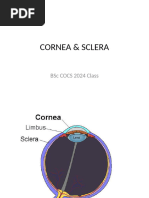 Choroid Anatomy and Layer Structure | PDF | Anatomy | Morphology (Biology)