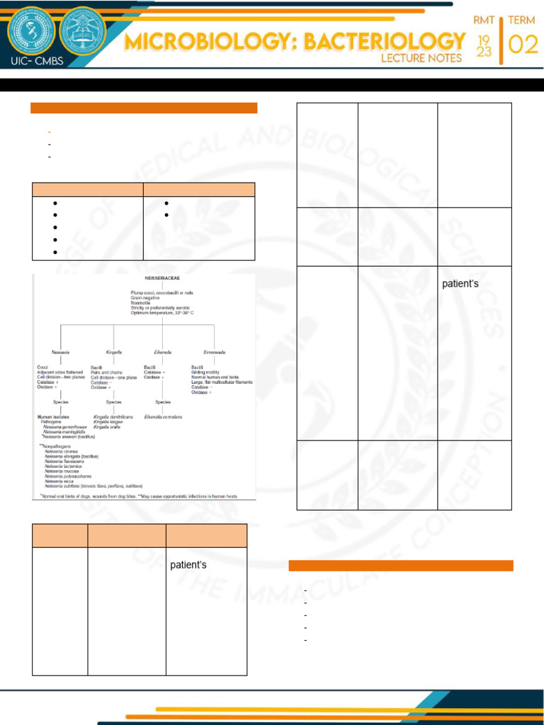 CHAPTER 17 Neisseria Species and Moraxella Catarrhalis Gram Negative Cocci | PDF | Gram Negative ...