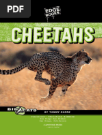 Wild Cat Family List by Lineage - Family | PDF | Felidae | Panthera