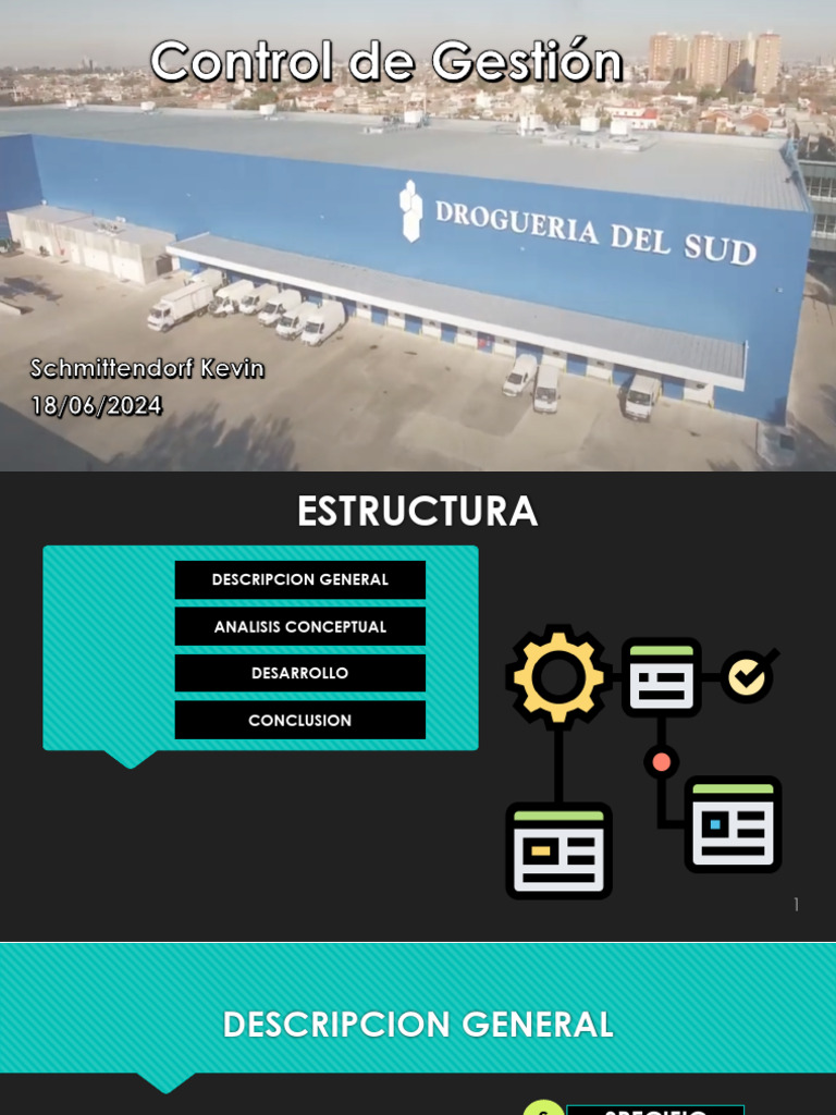 Control de Gestion | PDF | Usabilidad | Informática