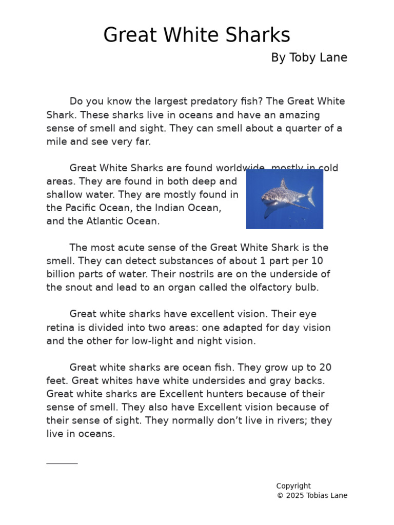 Great White Sharks by Tobias Lane | PDF