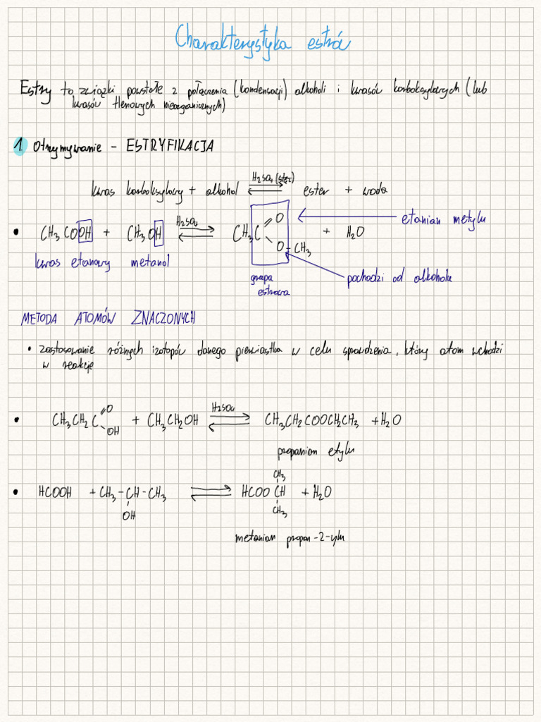 Estry | PDF