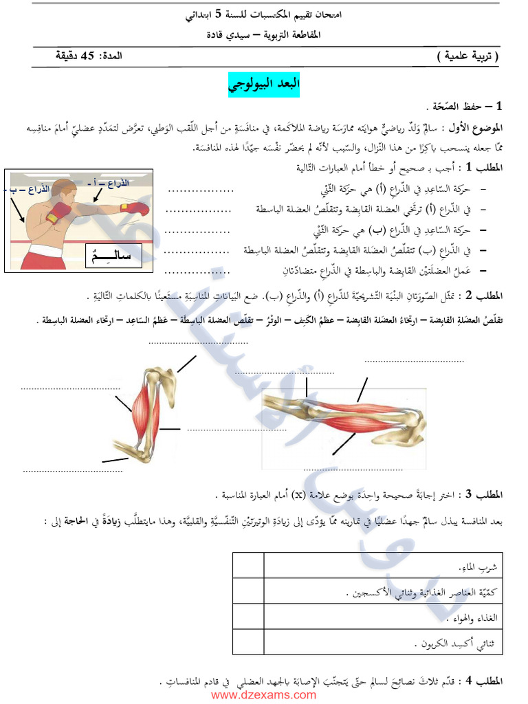Dzexams 5ap Technologie 434019 | PDF