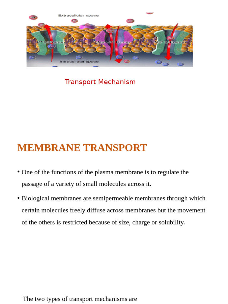 Transport mechanism | PDF | Cell Membrane | Cell Biology