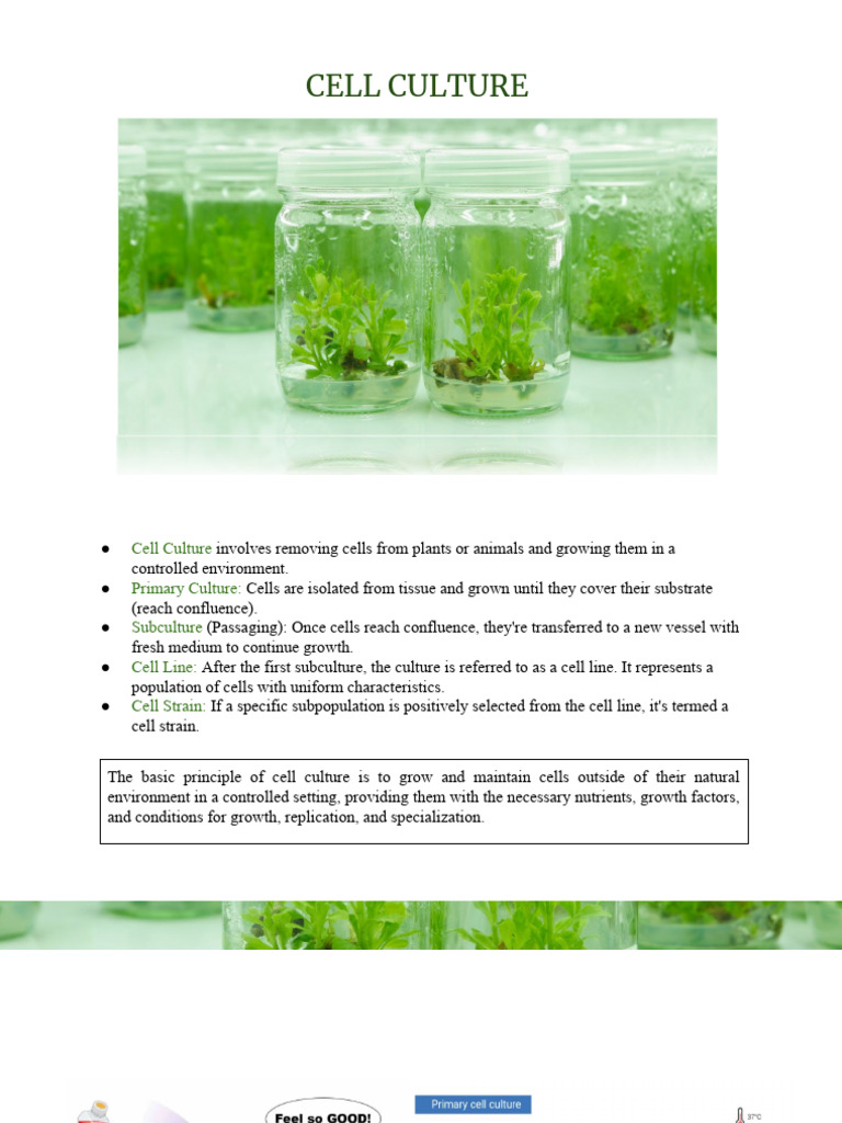 Understanding Cell Fractionation Techniques | PDF | Cell Culture ...