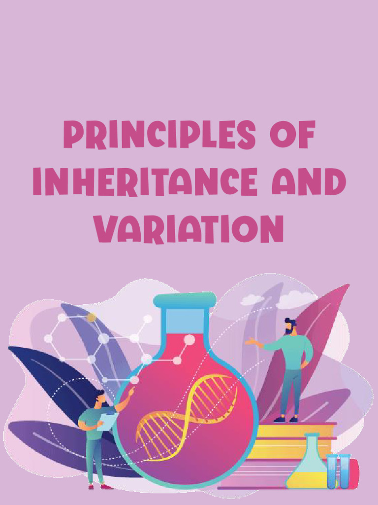 Principles of Inheritance and Variation | PDF | Dominance (Genetics) | Allele
