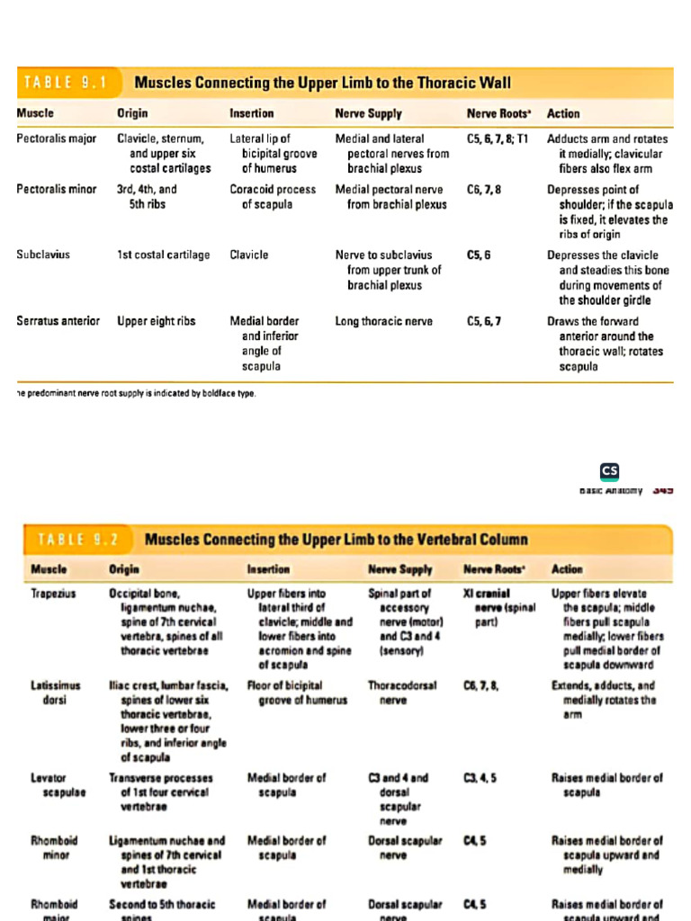 Muscles Tables | PDF
