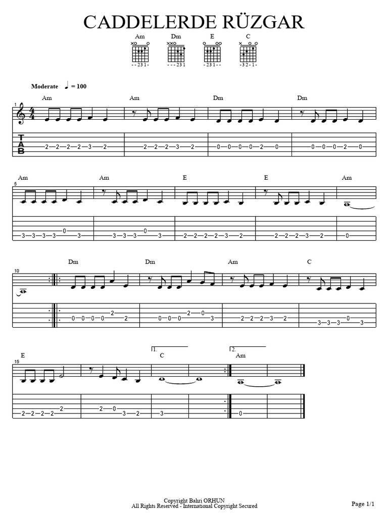 Caddelerde Rüzgar | PDF | Freedom Of Expression Law | Copyright Law