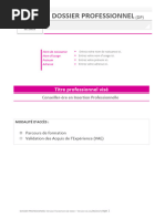 Dossier Professionnel : Modèle Word 2024 | PDF | Mise en page ...