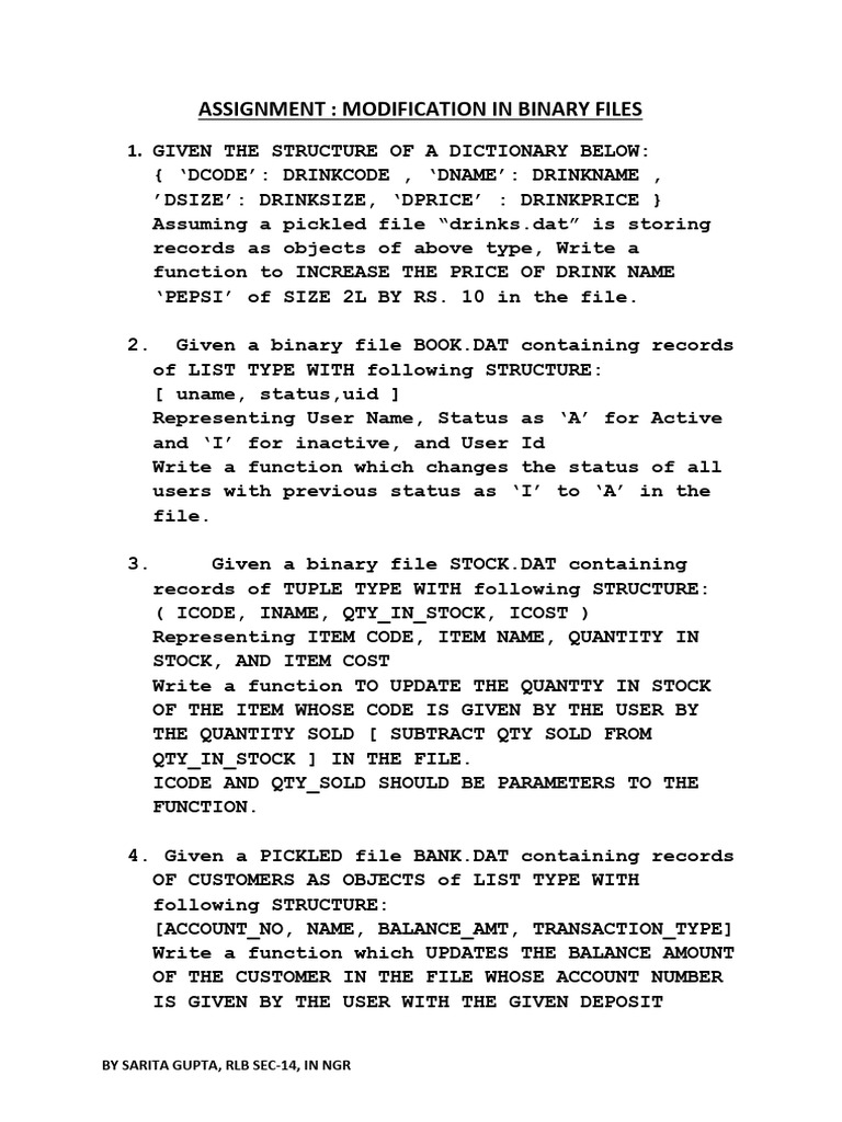 Assignmen1 Binary File Modification | PDF | Computer Programming | Software