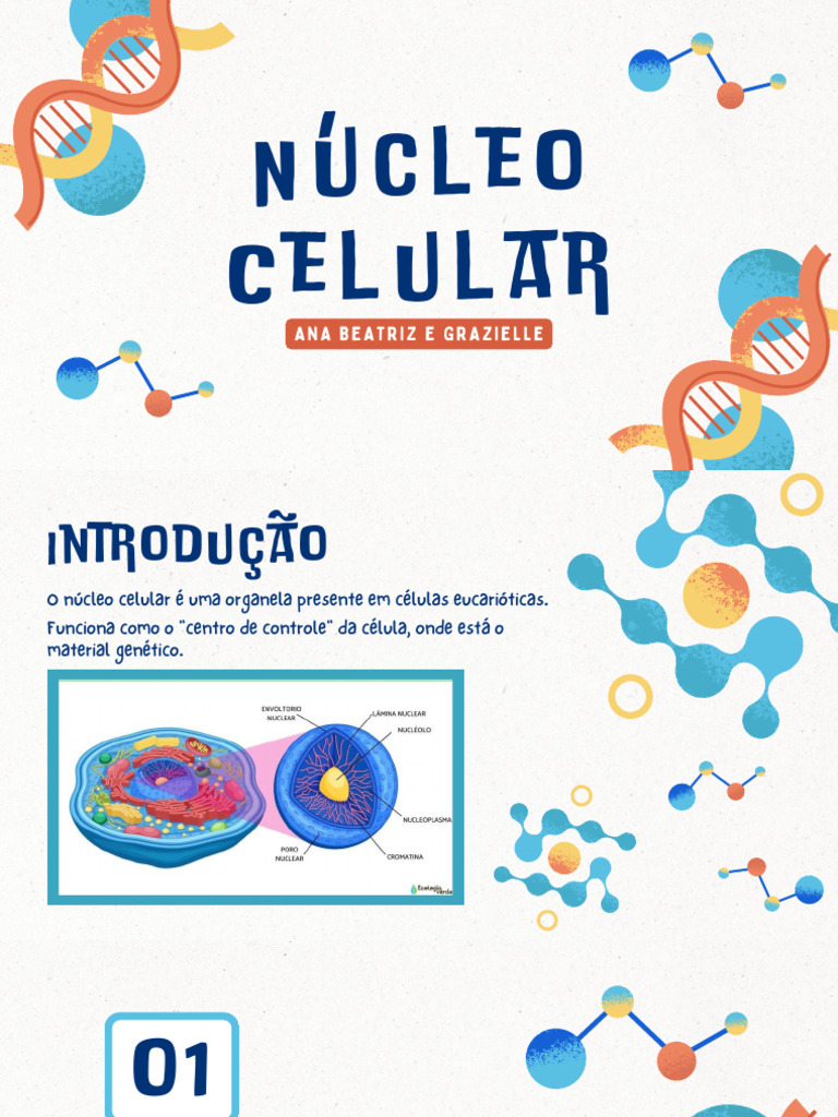 Núcleo Celular - 20241105 - 155616 - 0000 | PDF | Núcleo celular ...