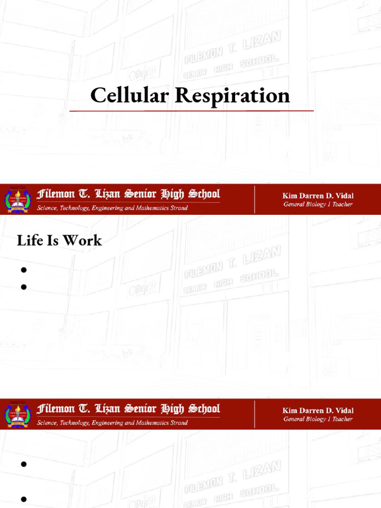 11 Cellular Respiration - PDF Notes | PDF | Cellular Respiration ...