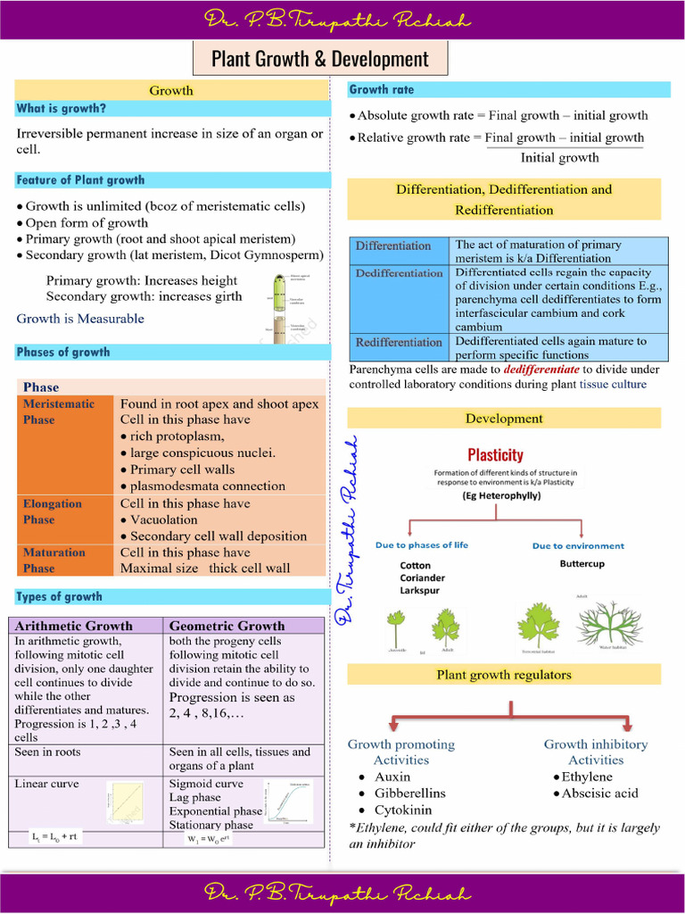 Plant Growth and Development | PDF