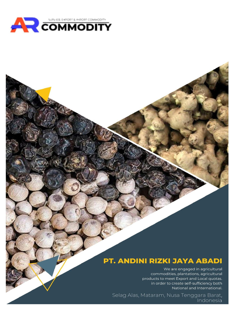 Company_Profil_PT._Andini_Rizki_Jaya_Abadi (1) | PDF