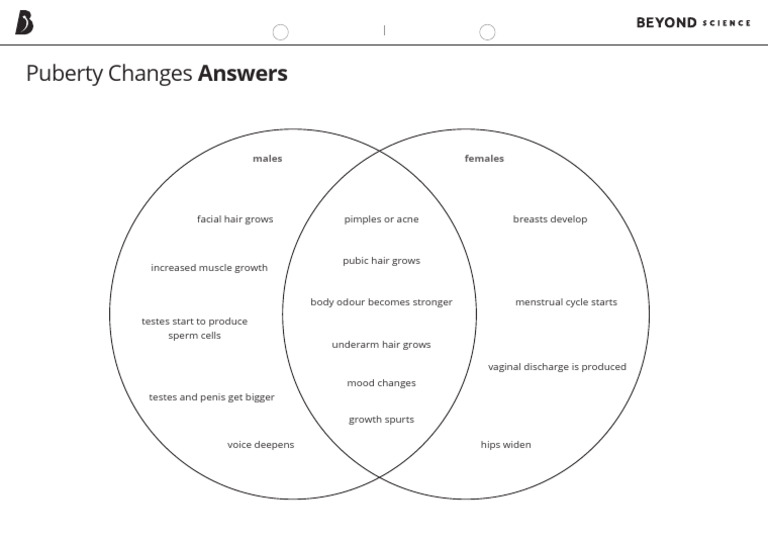 Puberty Changes Worksheet - Answers | PDF