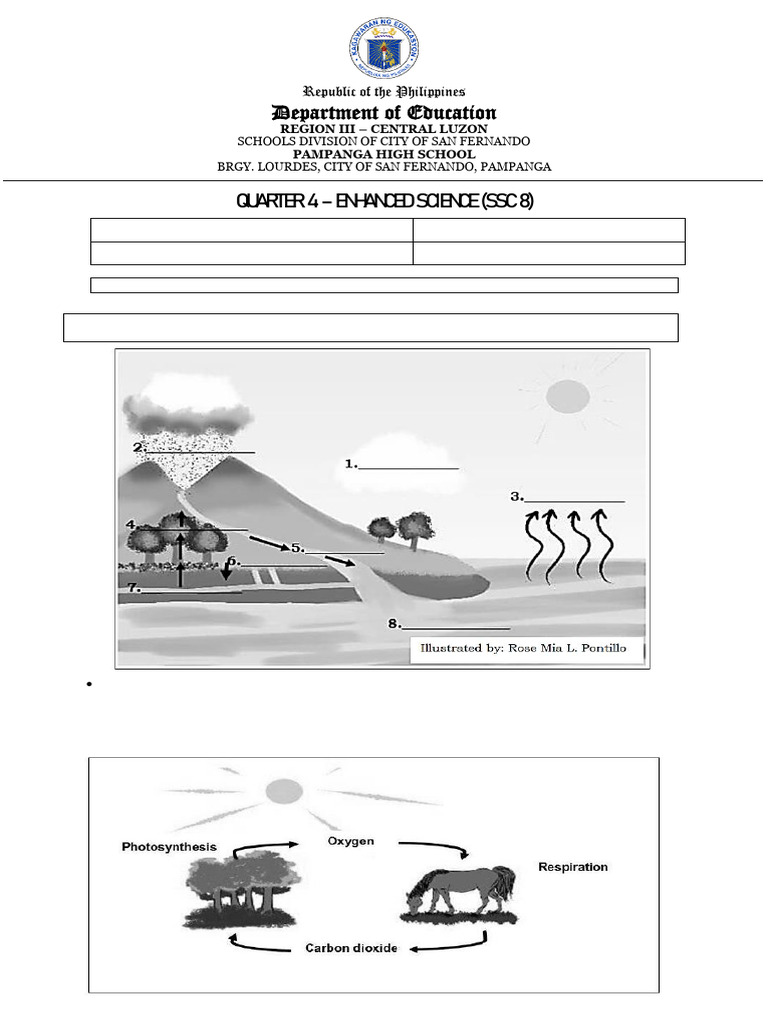 Ecosystem Cycles Performance Task Guide | PDF | Ecosystem | Ecology