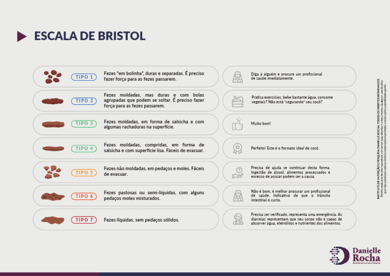 Lamina Escala de Bristol Color | PDF