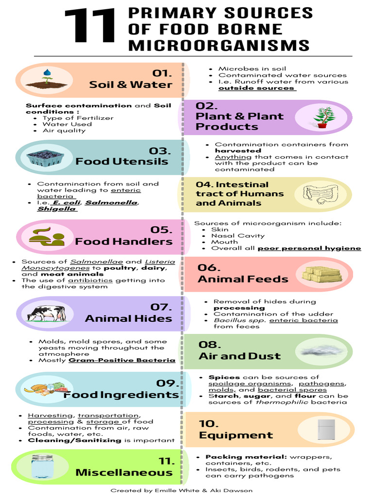 11 Primary Sources of Food Borne Microorganisms | PDF | Microorganism ...