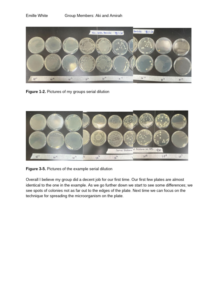 Serial Dilution Experiment Analysis | PDF