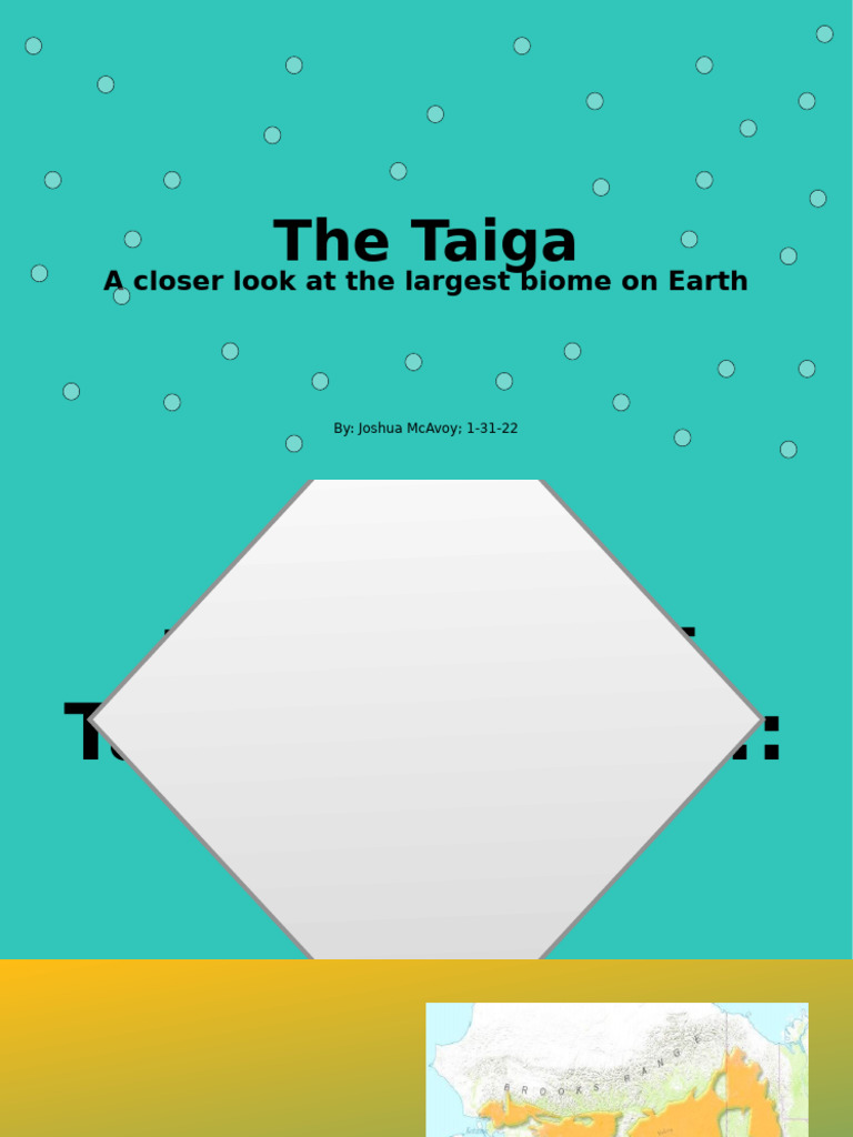 Understanding the Taiga Biome | PDF | Biogeography | Landscape