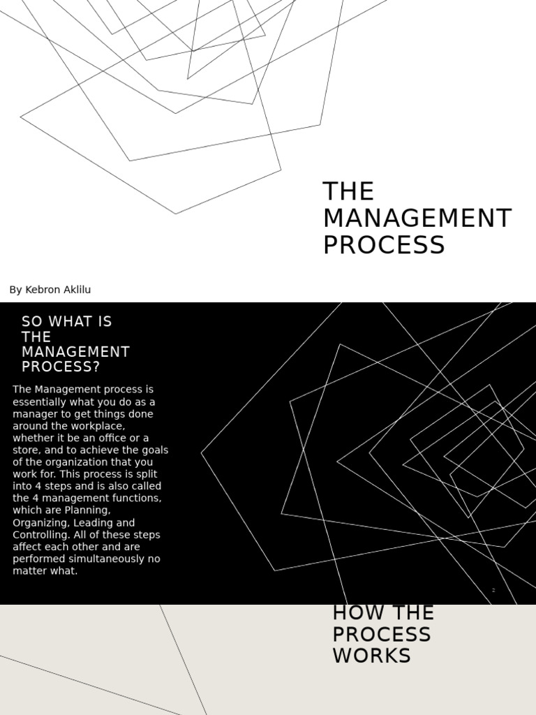 The 4 Steps of Management Process | PDF | Goal | Motivation