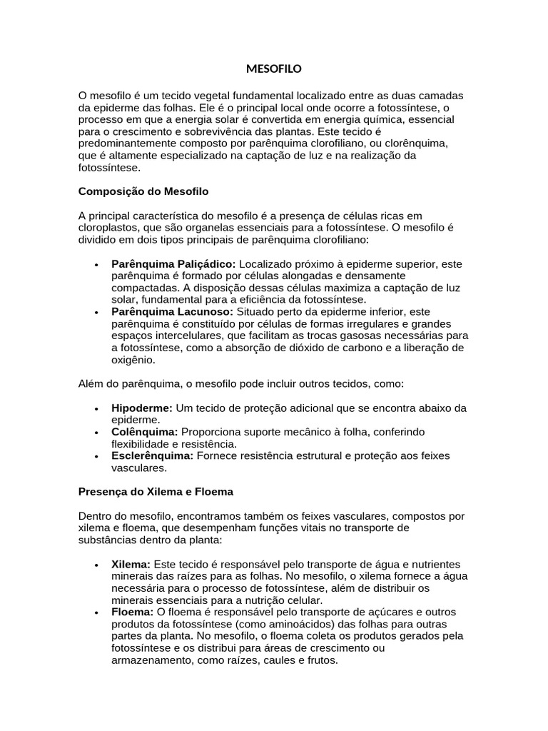 Mesofilo, Celulas Parenquimaticas e Cloroplastos | PDF | Cloroplastos ...