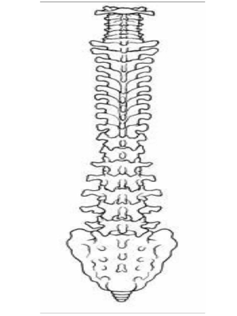 ANAPHY COSTUME | PDF