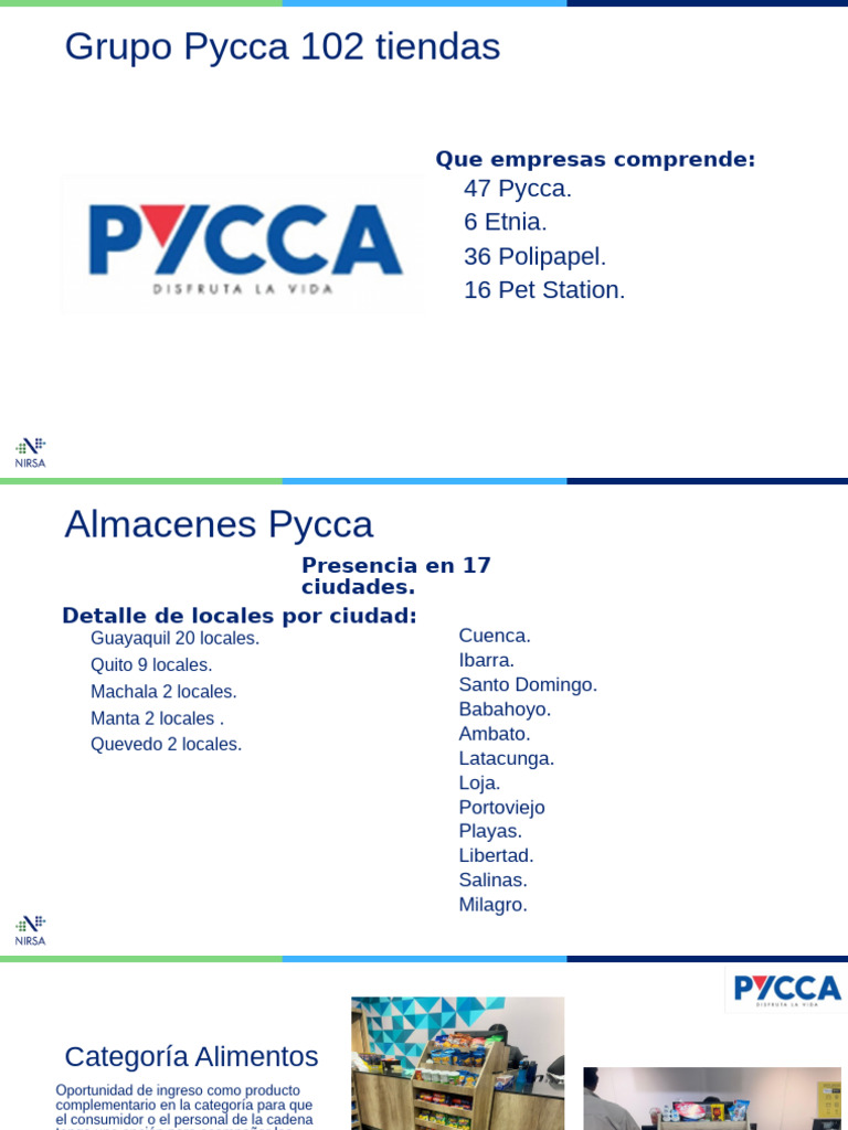 Almacenes Pycca | PDF