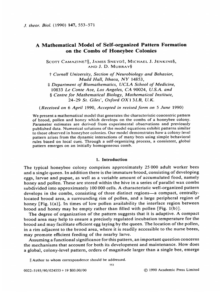 Mathematical Model of Pattern Formation | PDF | Bees | Honey Bee