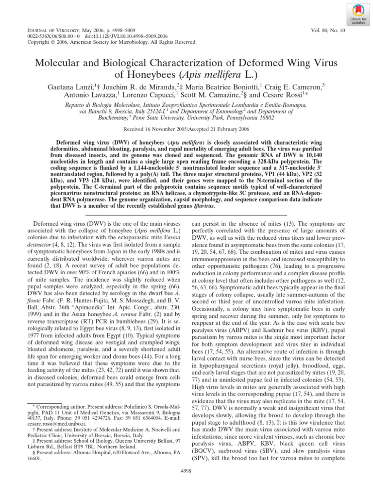 Molecular and Biological Characterization of Deformed Wing Virus of ...