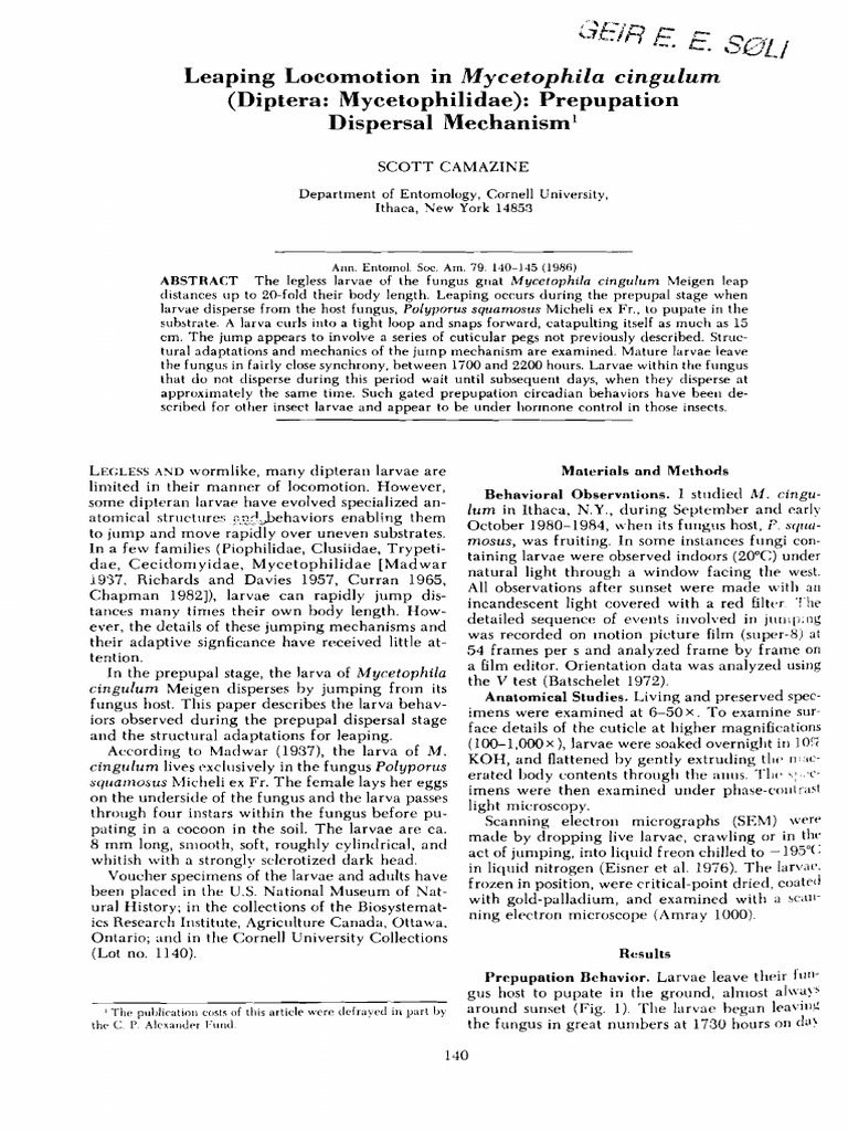 Camazine 1986 Leaping Locomotion in Mycetophila Cingulum | PDF | Fly ...