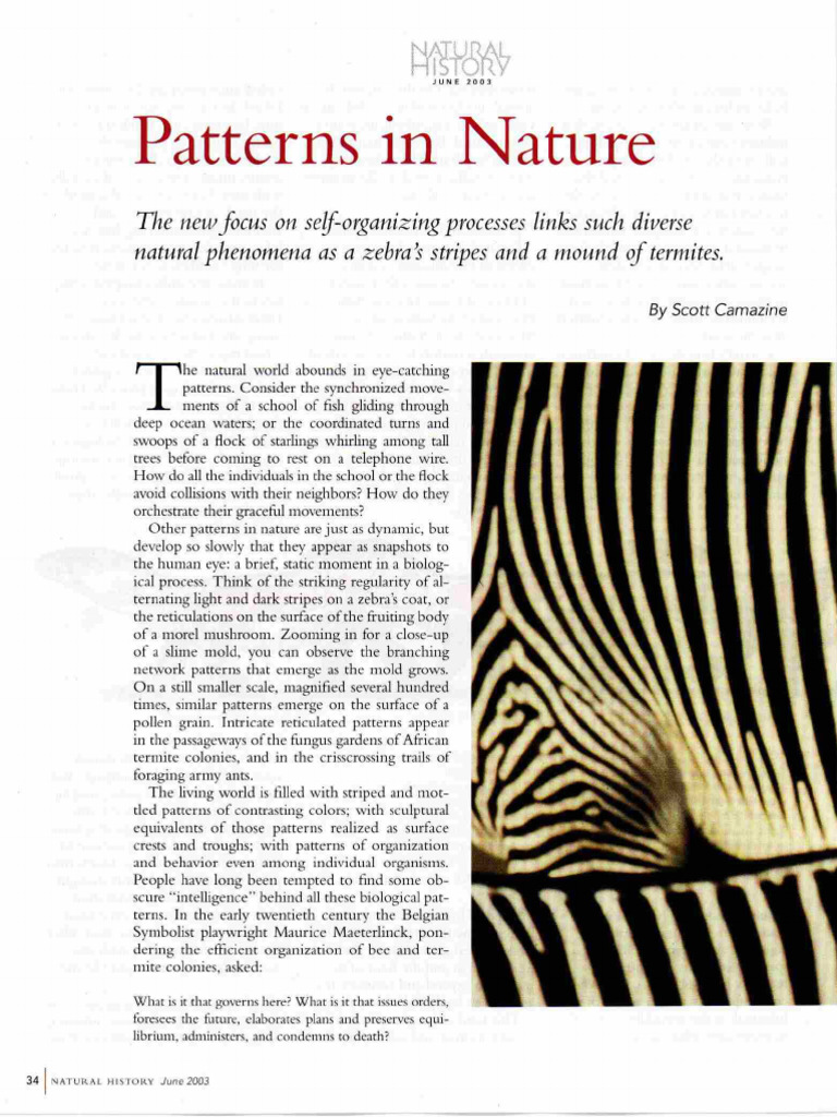 Camazine - Patterns in Nature | PDF
