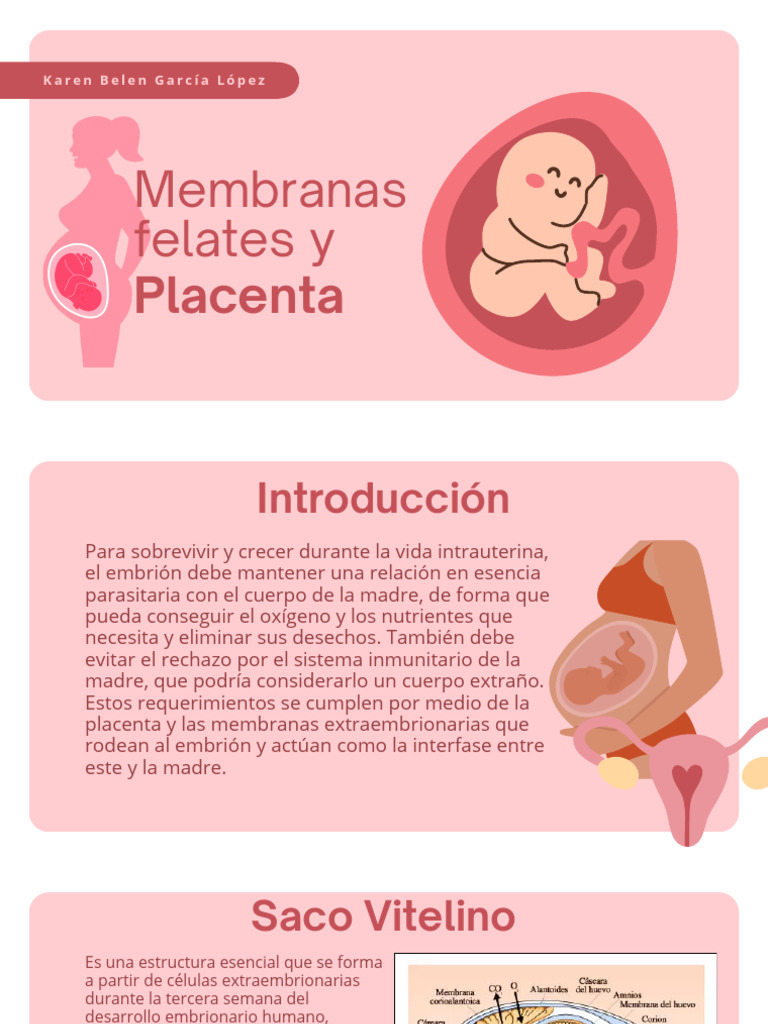 Membranas Fetales y Placenta | PDF | Placenta | Feto