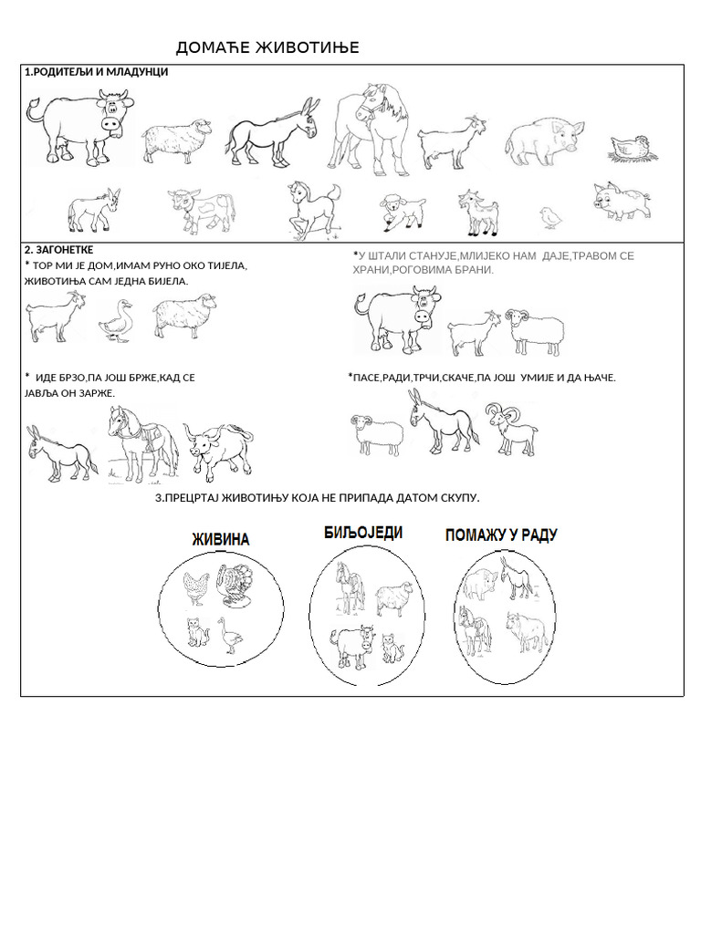 14.domace Zivotinje | PDF
