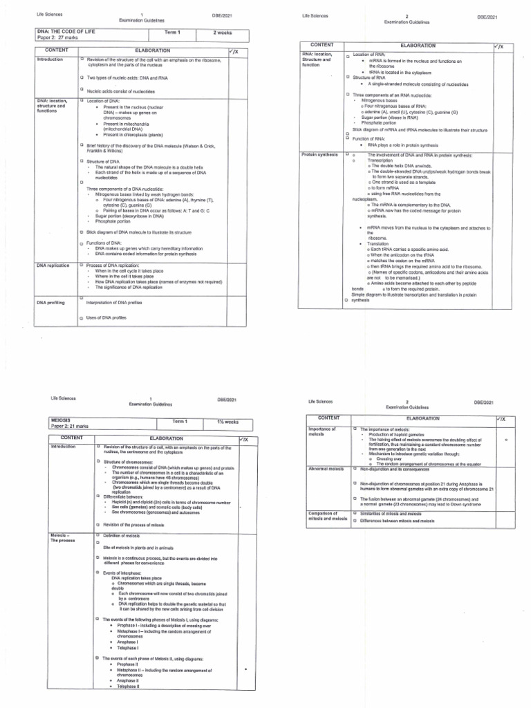 Grade 12 Examination Guidelines Pagers for Learners | PDF