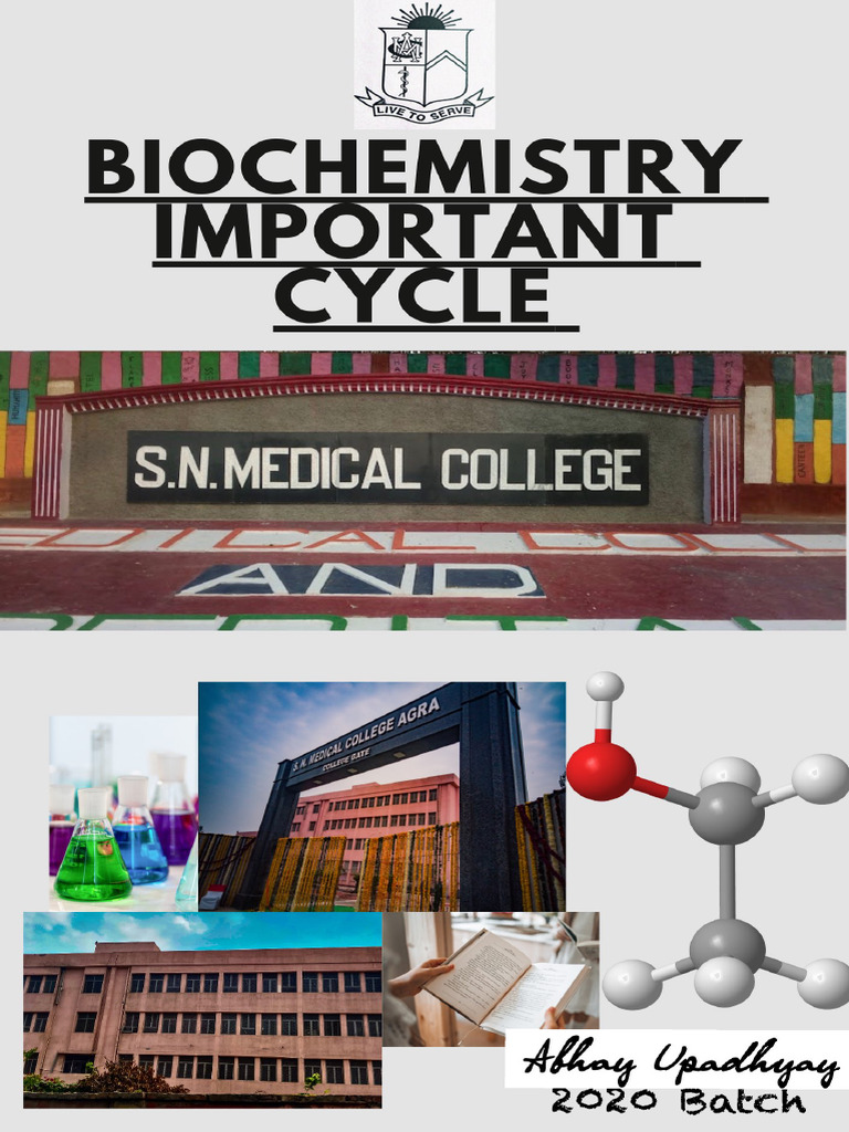 Biochemistry Cycles | PDF