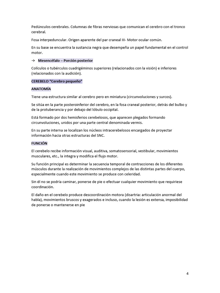 Neuro 2-4 | PDF