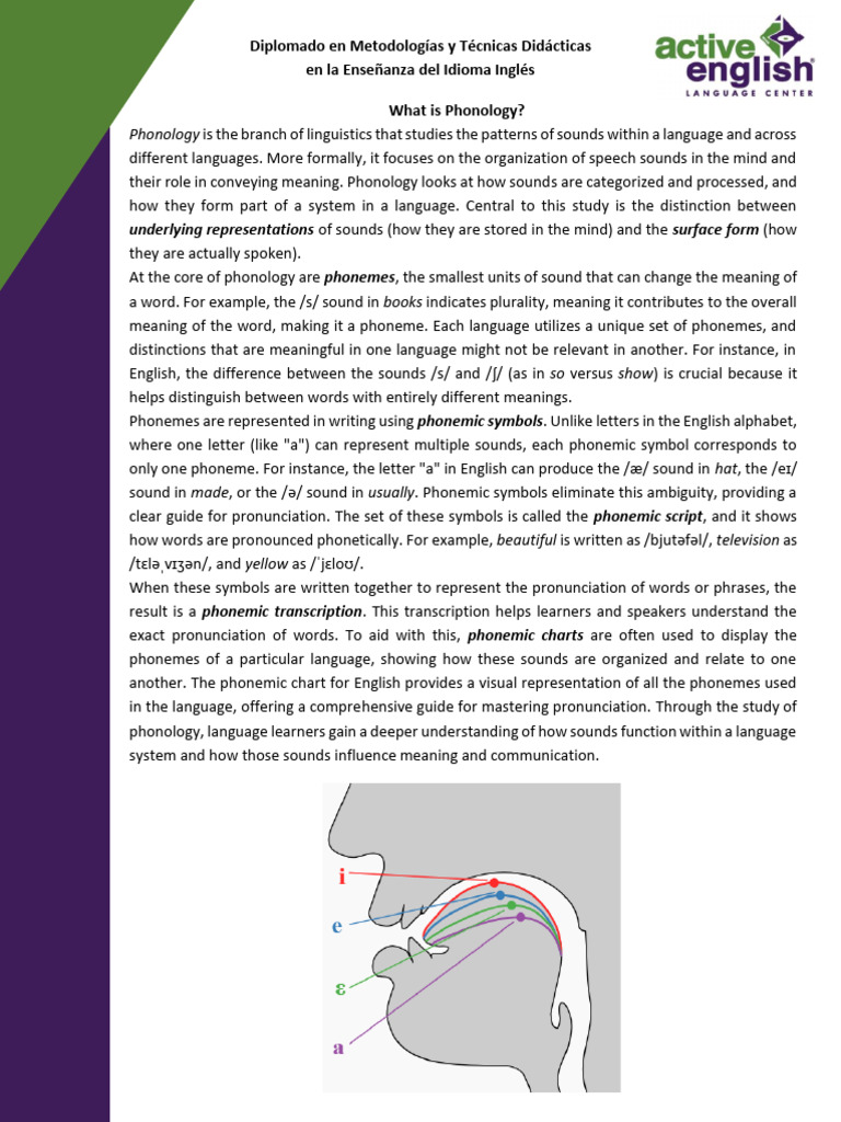 3. Phonology | PDF | Phoneme | Consonant