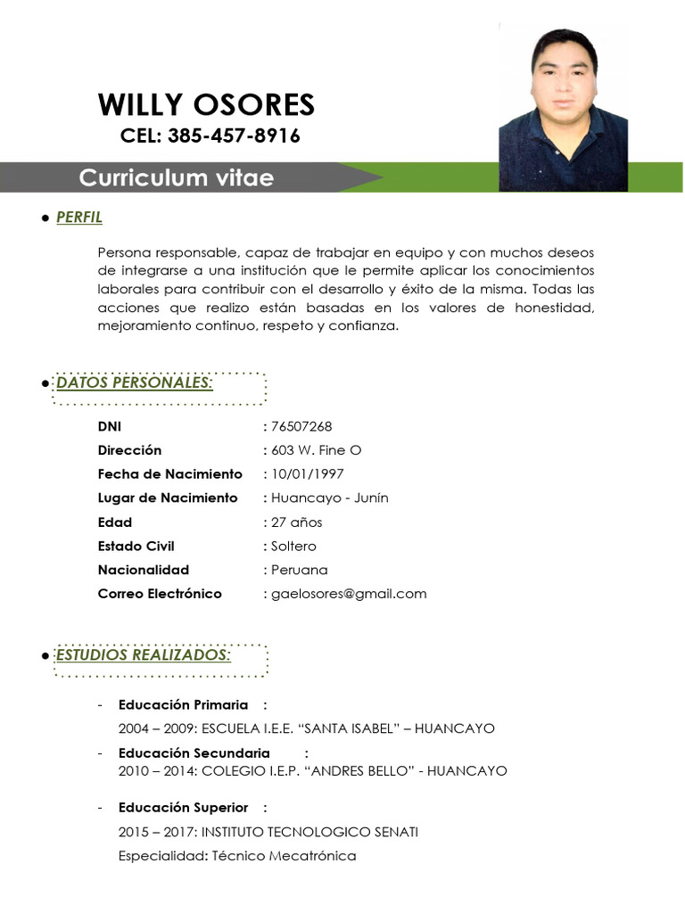 Curriculum WILLY OSORES.docx | PDF