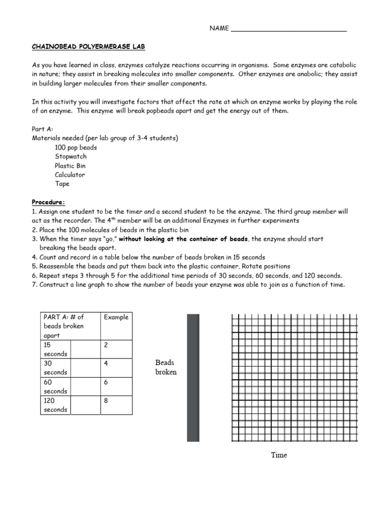 Pop Bead Modeling Experiment | PDF | Enzyme | Substrate (Chemistry)