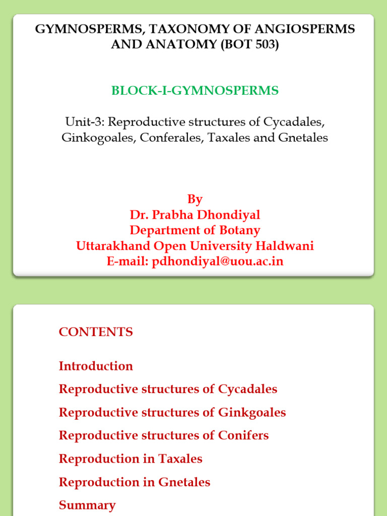 Gymnosperm Reproductive Structures | PDF | Seed | Biological Interactions