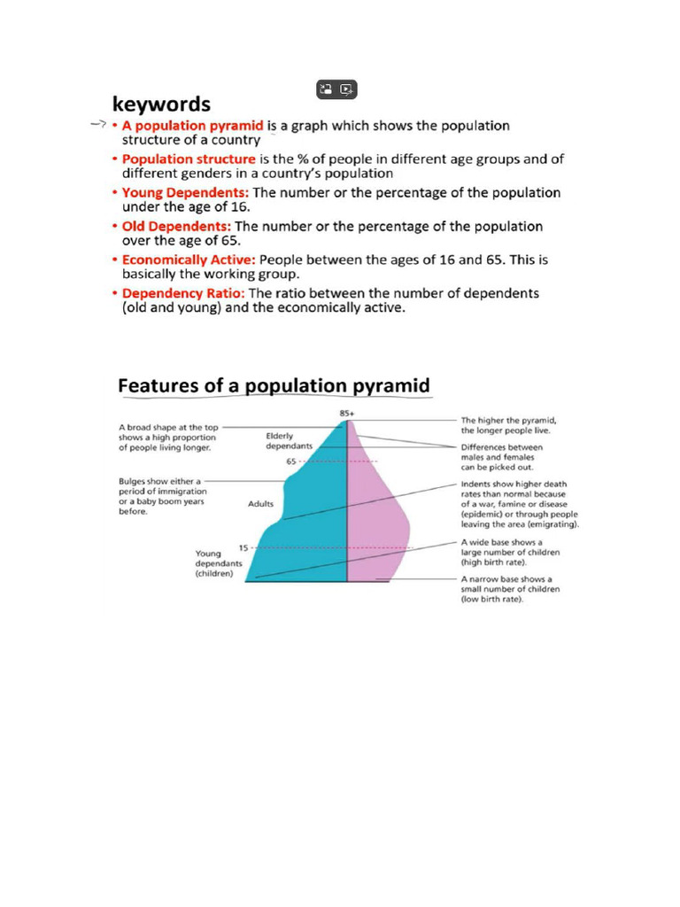 Population Structure | PDF