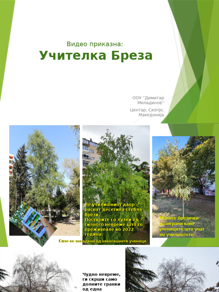 Ucitelka Breza | PDF