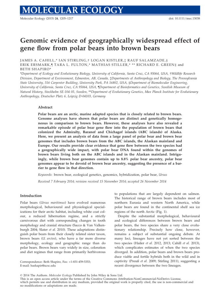 Polar Bear Gene Flow into Brown Bears | PDF | Mitochondrial Dna ...