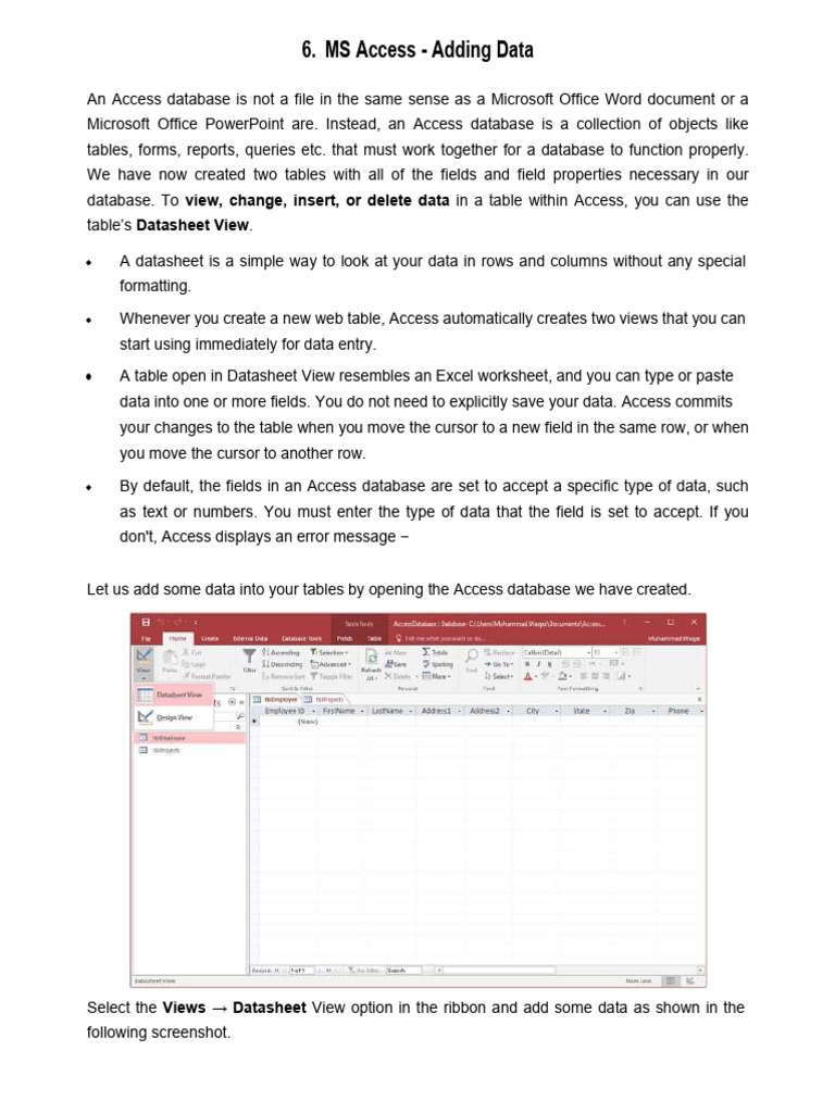 Adding Data in MS Access Datasheet View | PDF